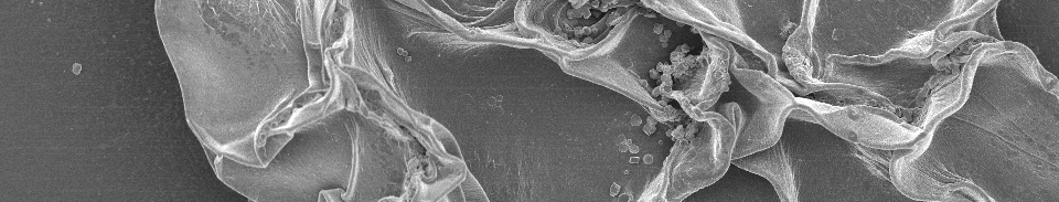 Layer-by-Layer method | CHOBOTIX